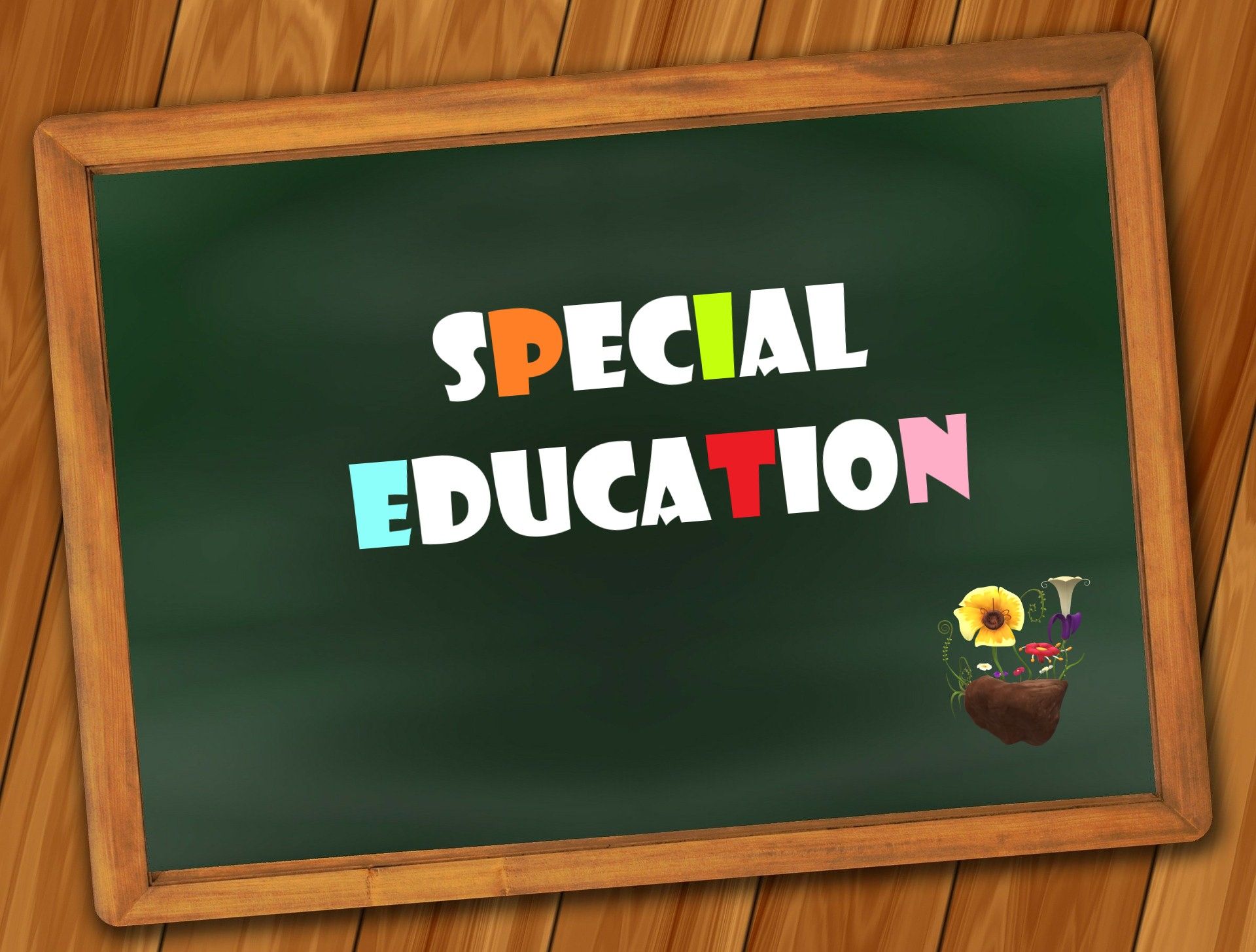 Educación Especial Centros Y Aulas Específicas Raül Solbes I Monzó